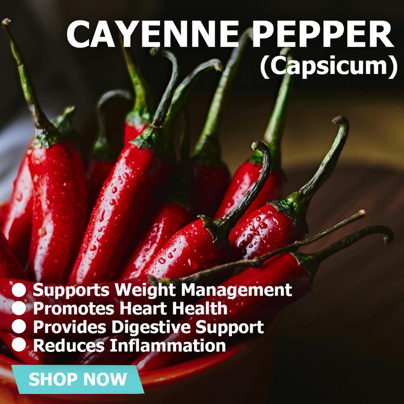 Cayenne Pepper | Metabolic, Cardiovascular, & Digestive Health ...