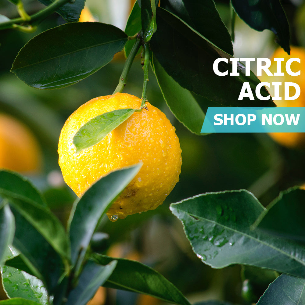 Citric Acid Powder - Natural Food Preservative & Cleaning Agent ...