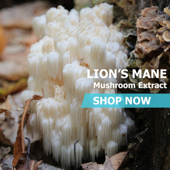 Clif High's Pure Sleep - A Sleep Aid Without Melatonin – PureBulk, Inc.